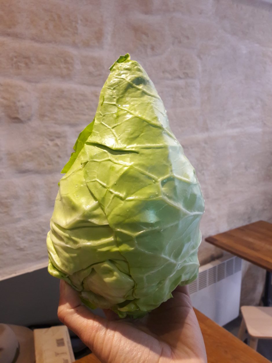 Recette facile chou pointu : bocaux chou et gingembreBoui Boui